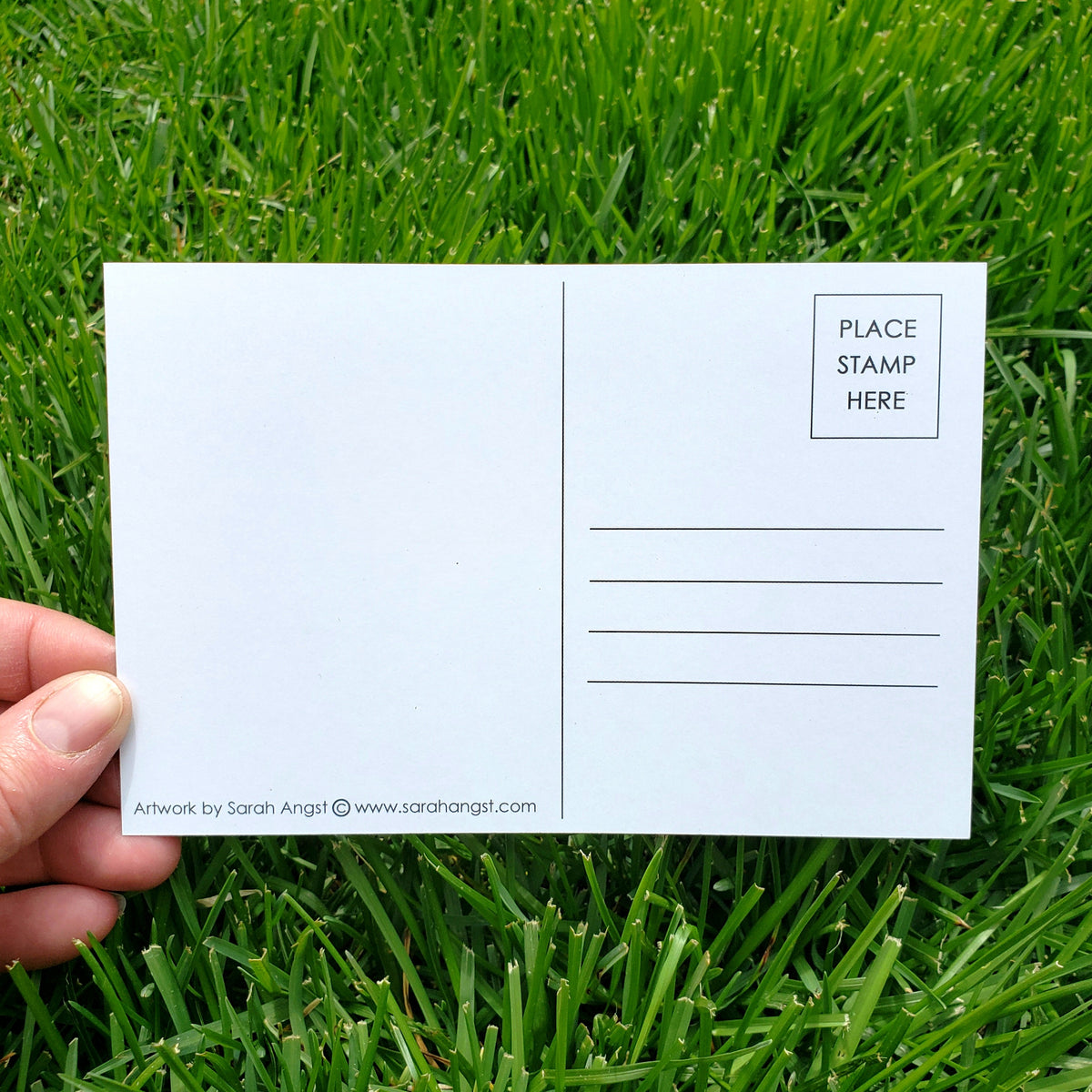 Postcard - Mountain Stream – Sarah Angst Art